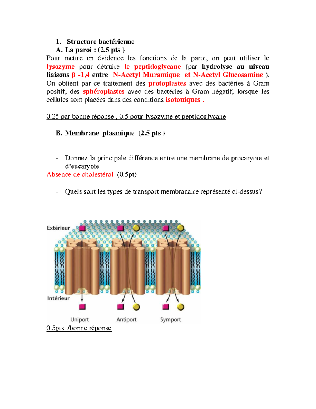 Examen 4 Microbiologie - Structure bactérienne A. La paroi : (2 pts ...