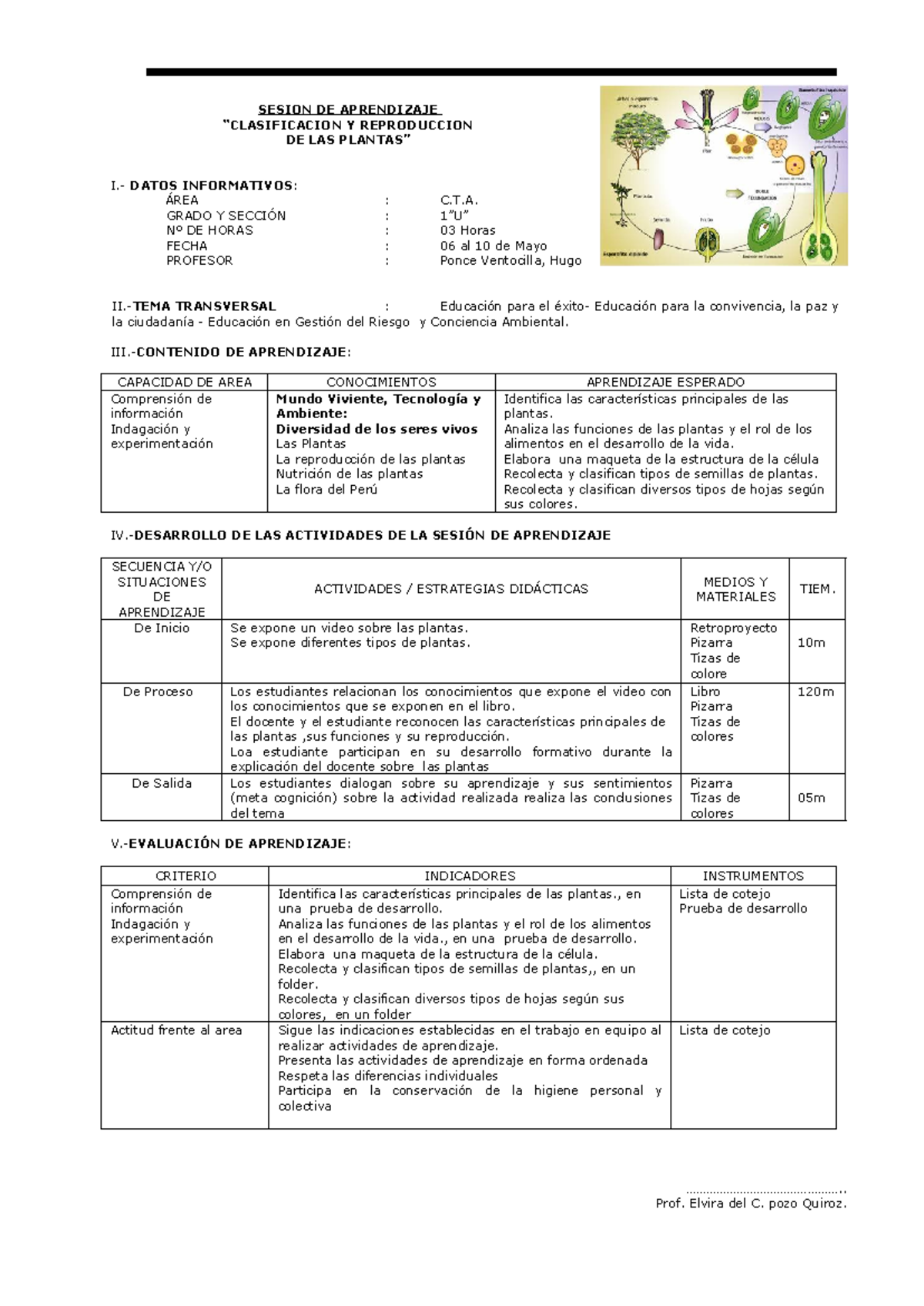 -Clasificacion-de-Las-Plantas - SESION DE APRENDIZAJE “CLASIFICACION Y ...