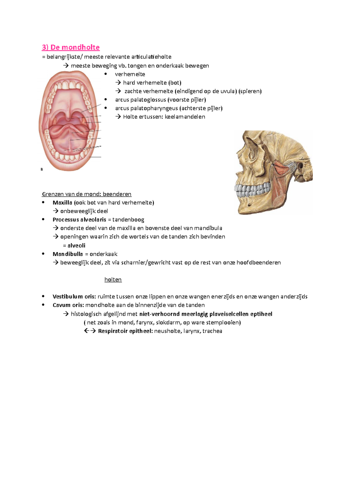 samenvatting articulatie deel 3 - 3) De mondholte = belangrijkste ...