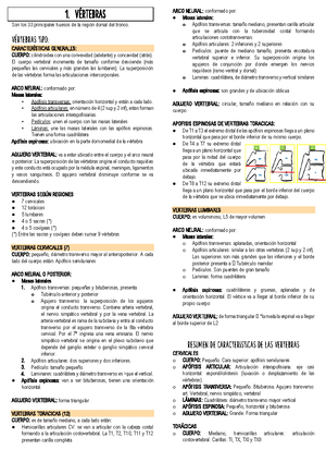 09 NUCA Y Region Dorsal - NUCA Y REGION DORSAL La región dorsal es ...
