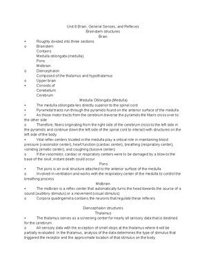 NS study material-1 - Due to the amount of material for the next exam ...