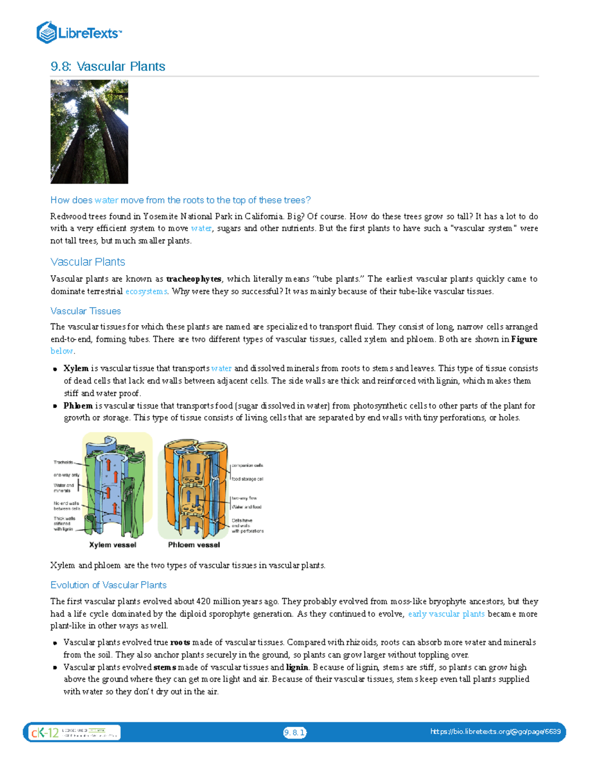 biology 101 5278 - 9.8 bio.libretexts/@go/page/ 9: Vascular Plants How ...