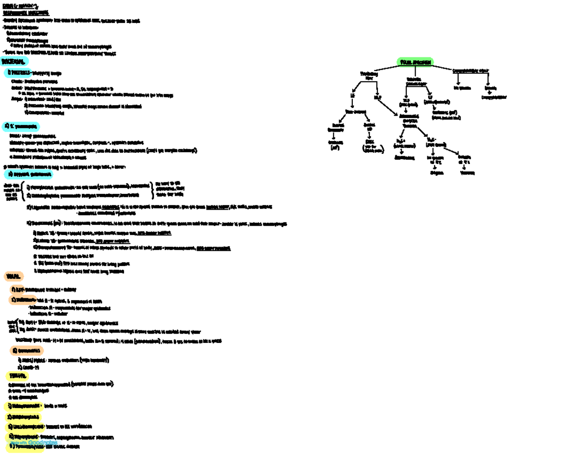 Microbiology exam 5-LRT - EXAMS-REVIEW 1 RESPIRATORY INFECTIONS ...