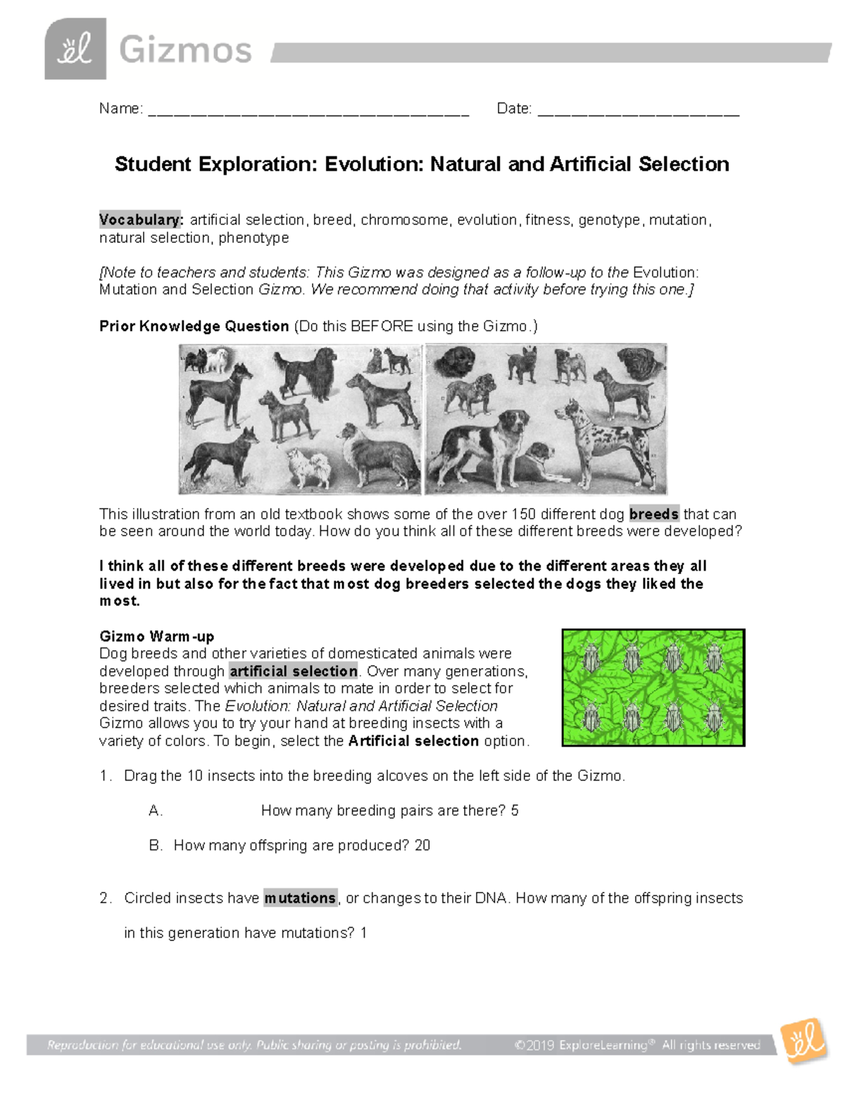 Evolution: Natural and Artificial Selection - Studocu