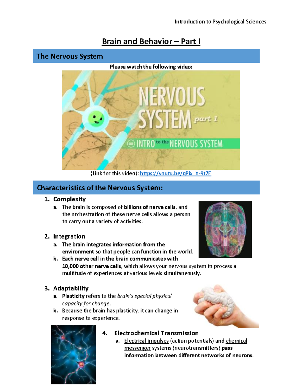 Nervous System handout 170211 - Introduction to Psychological Sciences ...