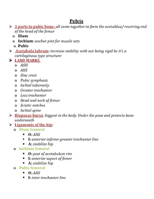 The talonavicular joint is an example o f a what type of joint - You ...