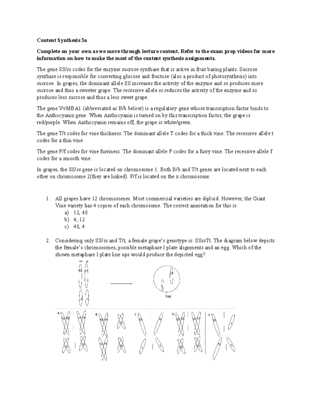 Content synthesis for exam 3 - Content Synthesis 3a Complete on your ...