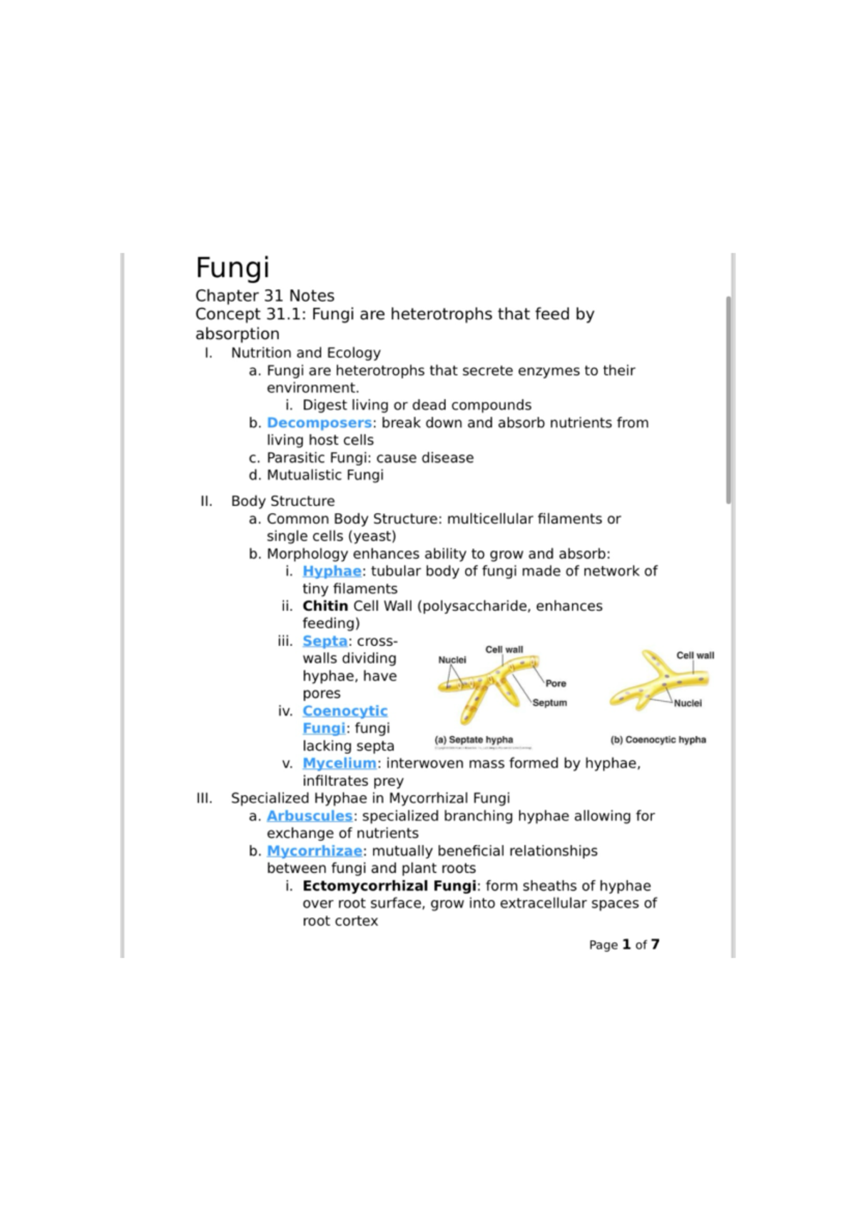 Fungi notes - Fungi Chapter 31 Notes Concept 31: Fungi are heterotrophs ...