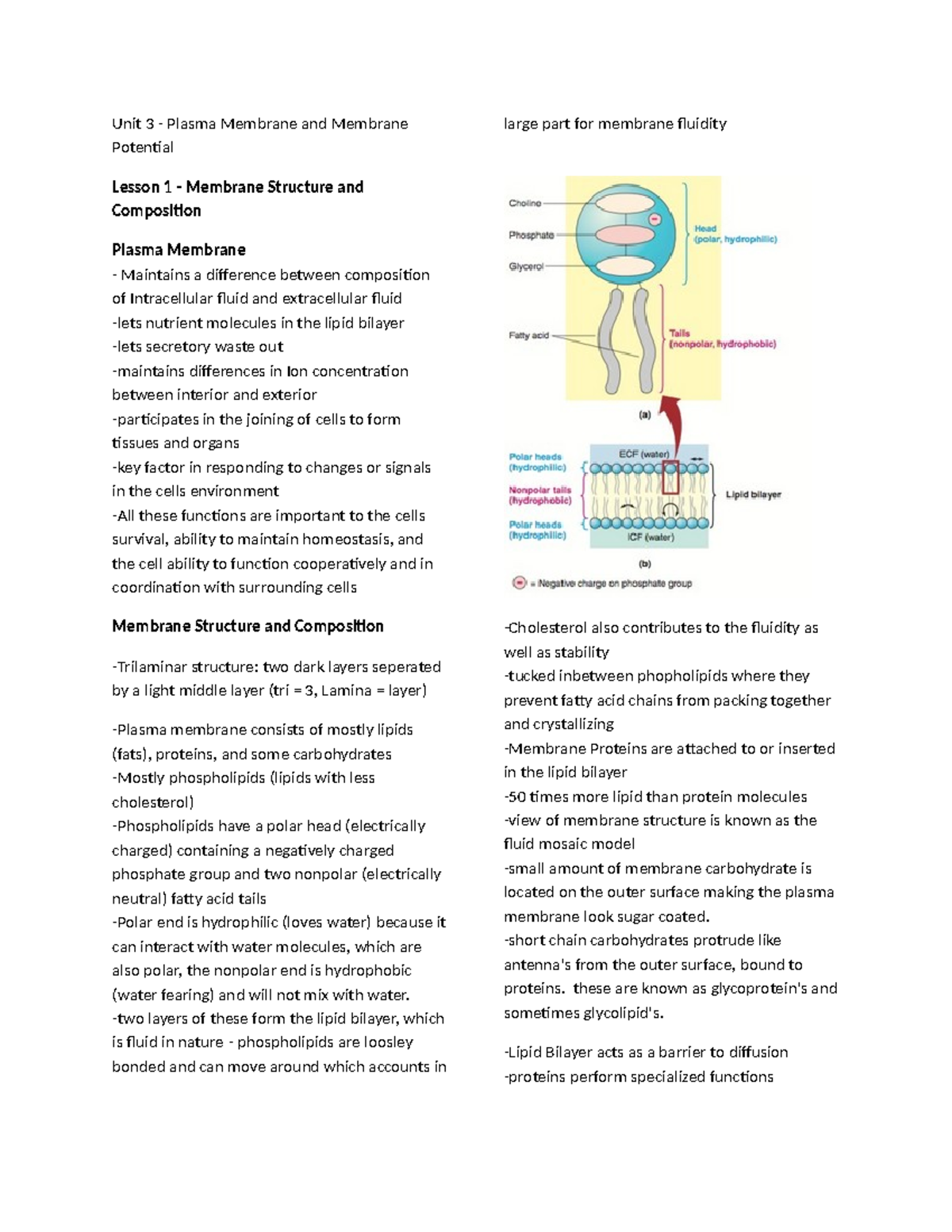 Unit 3 Plasma Membrane and Membrane Potential Study Notes - Unit 3 ...