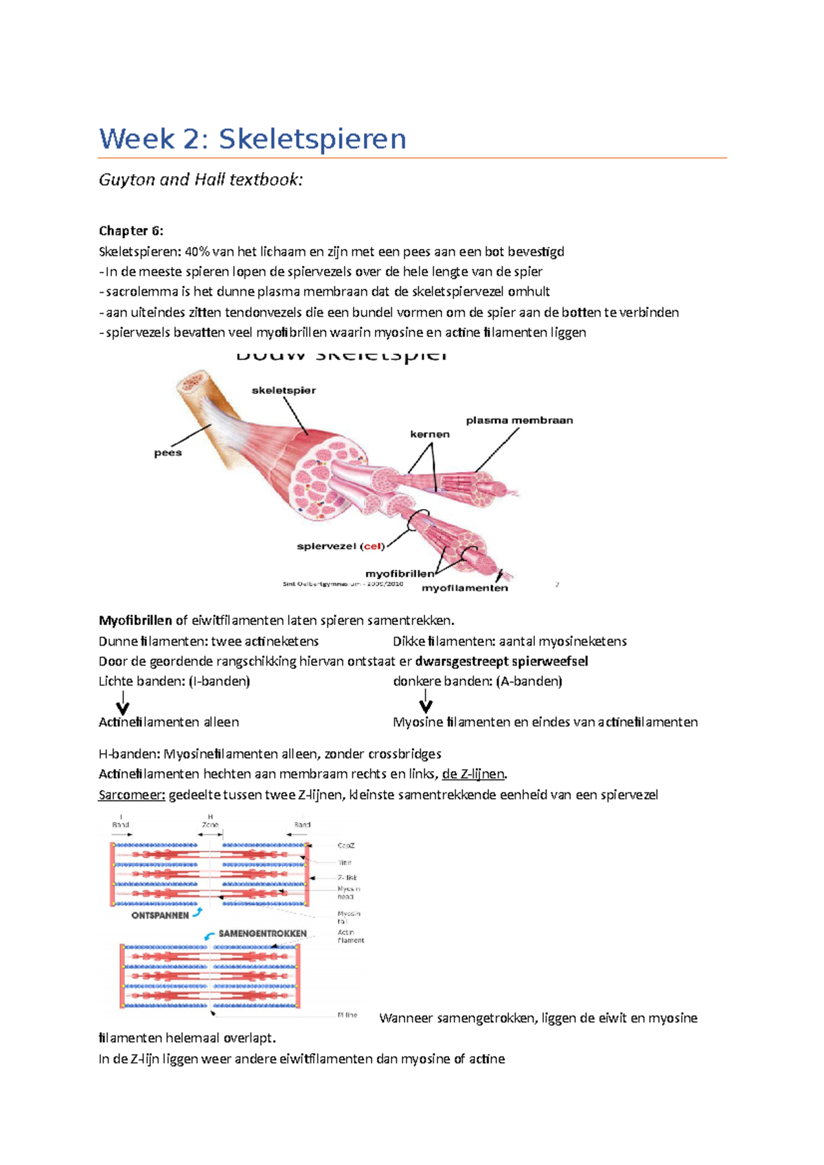 Skeletspieren H6 - Week 2: and Hall van het lichaam en zijn met een ...