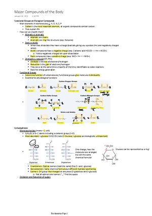 Foundations in Clinical Biochemistry - lecture 22 - Foundations in ...
