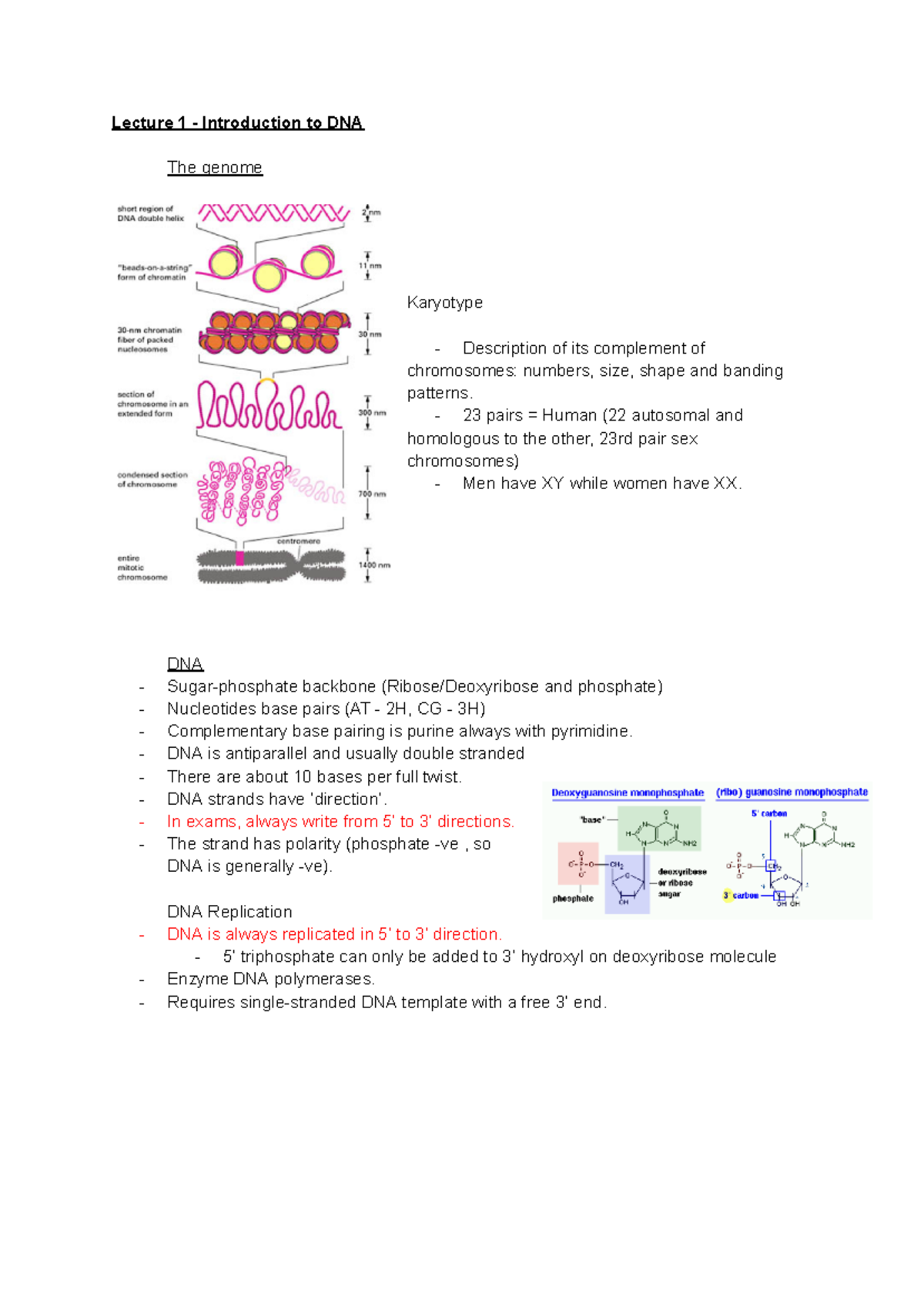 Lecture 1 & 2 - Google Docs - Lecture 1 - Introduction to DNA The ...