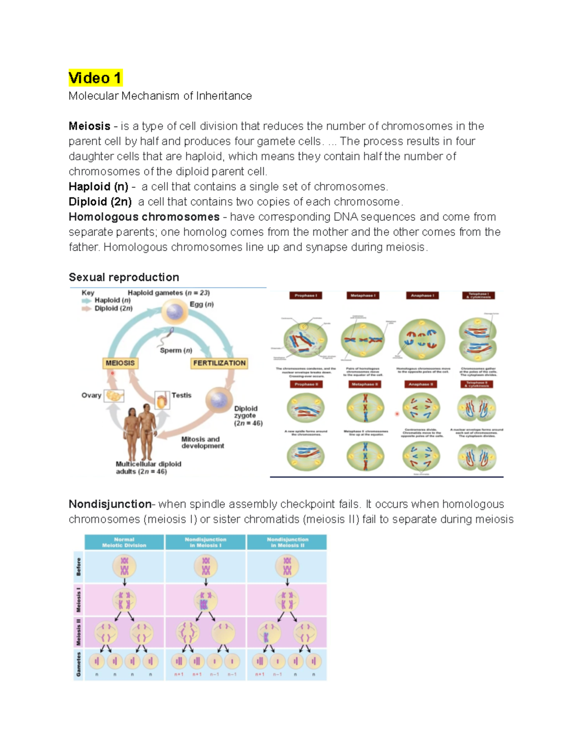 Bio151 Week 13 Notes - V 1 Molecular Mechanism of Inheritance M - is a ...