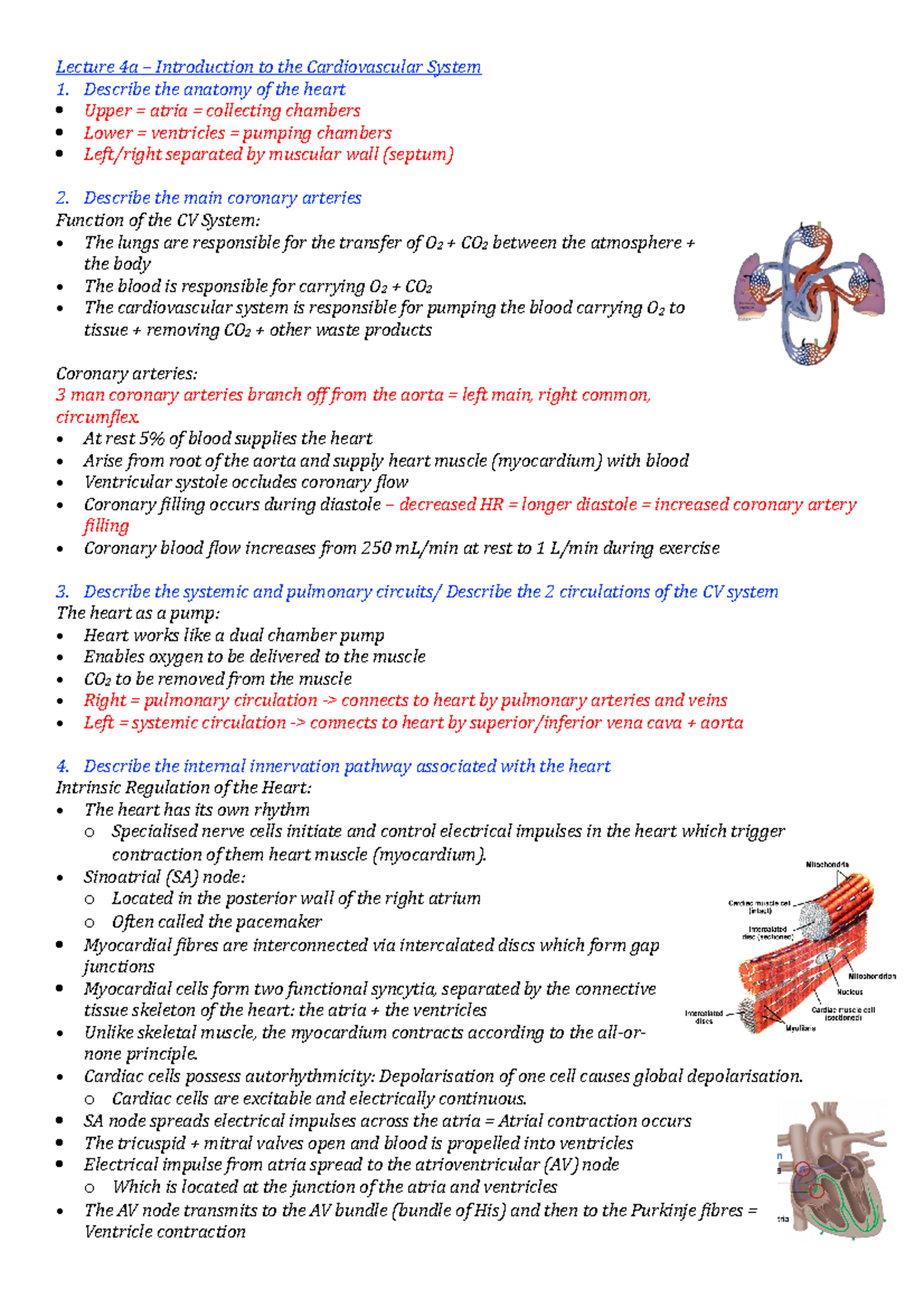 Lecture 4a - Introduction of the Cardiovascular System 1 - Lecture 4a ...