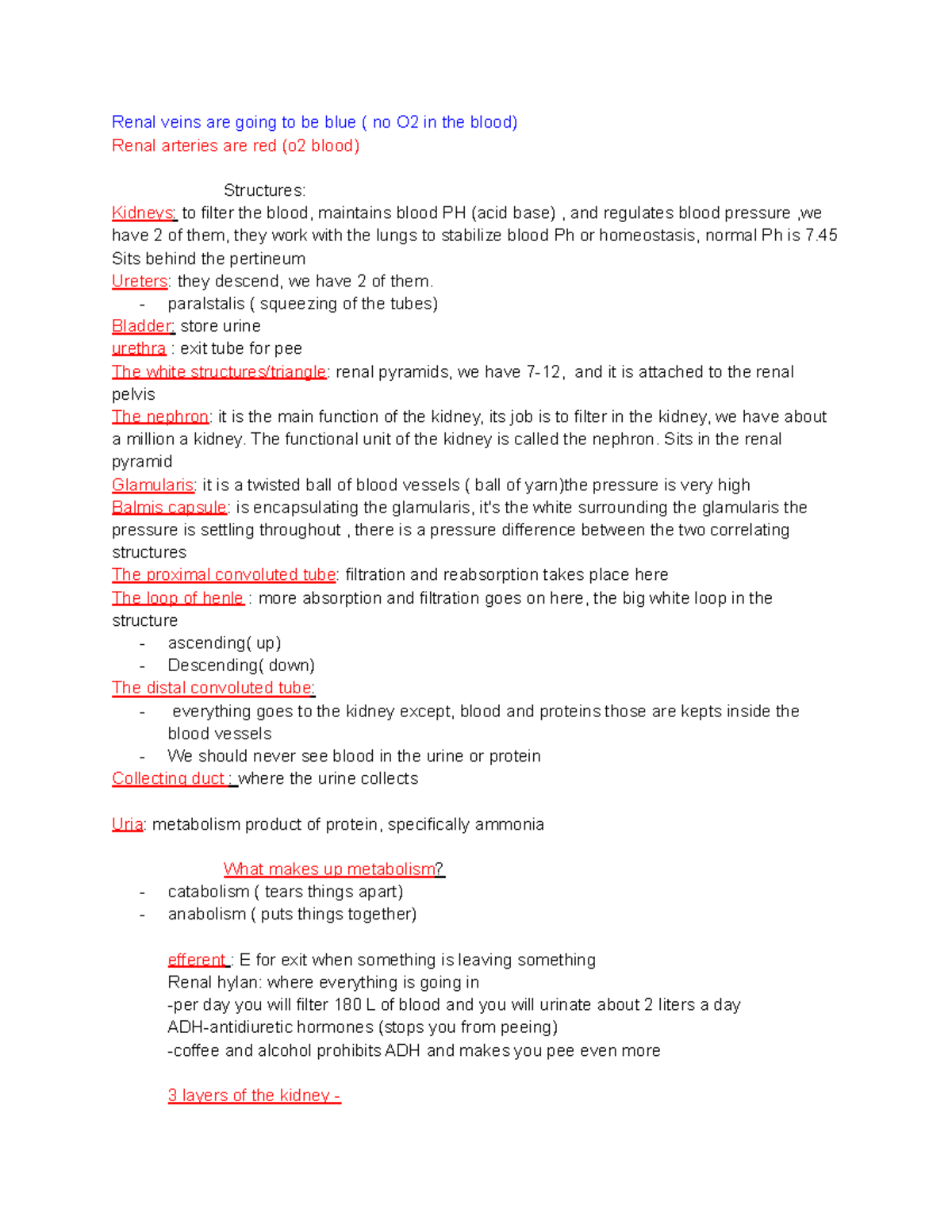 Urinary system review - lecture notes - Renal veins are going to be ...