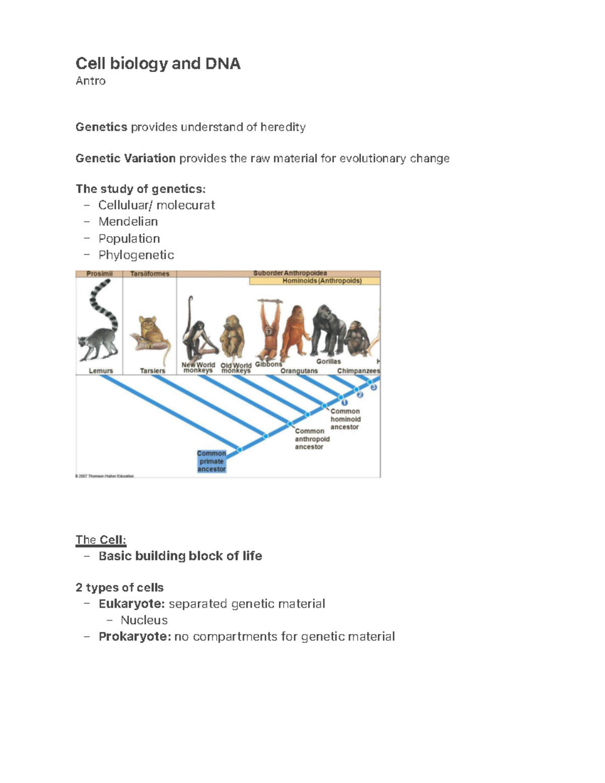 Cell biology and DNA - – – – – – – – – Cell biology and DNA Antro ...
