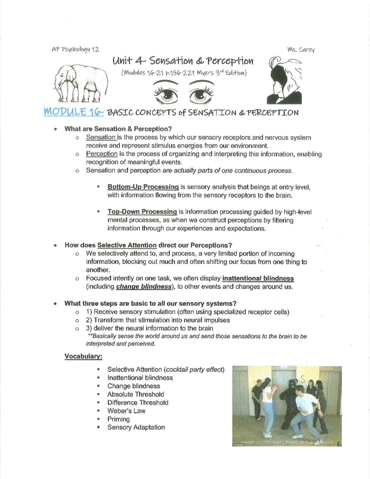 Unit 4 summary notes - AP Psychology 12 Ms. Carey Unit Sensation ...