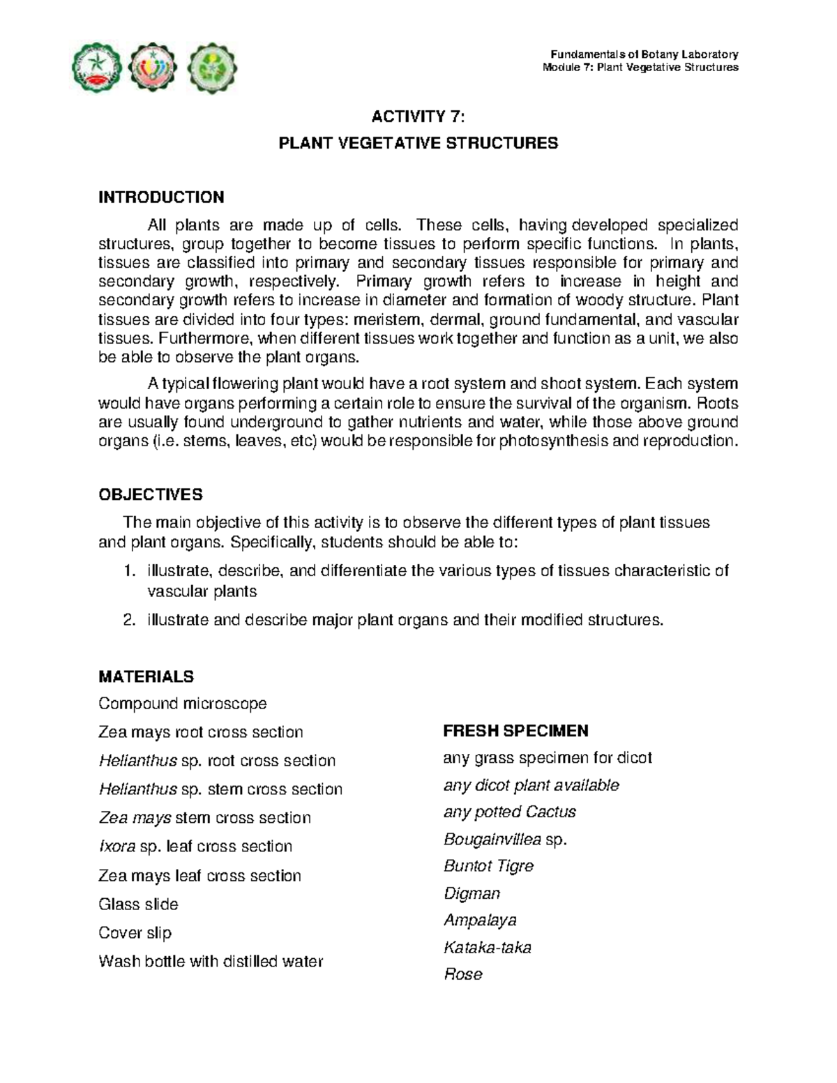 Activity 7 Plant Vegetative Structures - Module 7: Plant Vegetative ...
