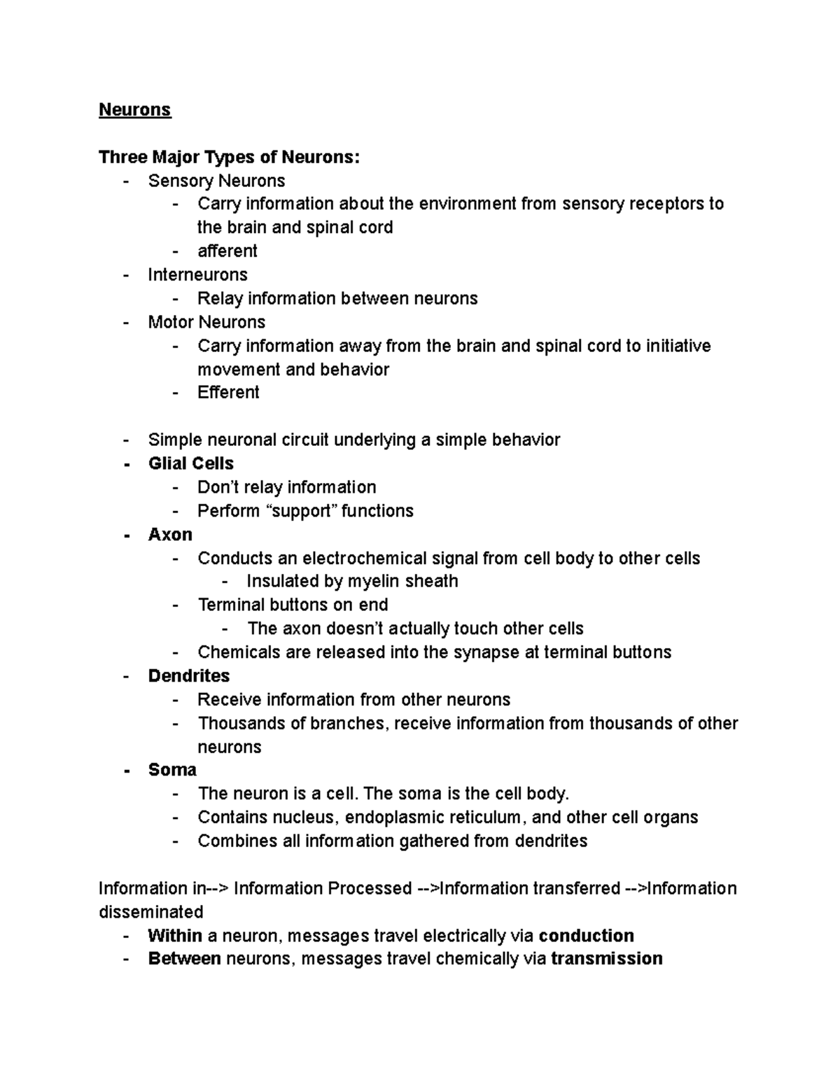 Psych Notes - First Unit - Neurons Three Major Types of Neurons ...