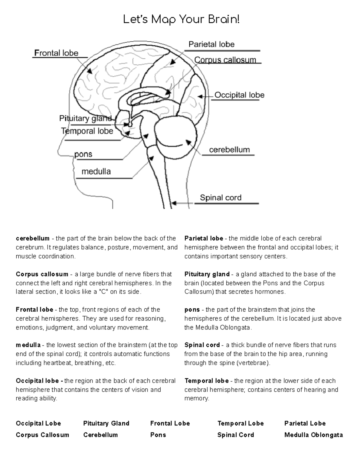 Let’s Map a Brain - Google Docs - Map Your Brain! cerebellum the part ...