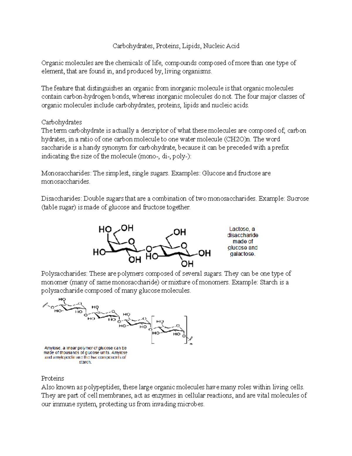 Organic-Molecules - Carbohydrates, Proteins, Lipids, Nucleic Acid ...