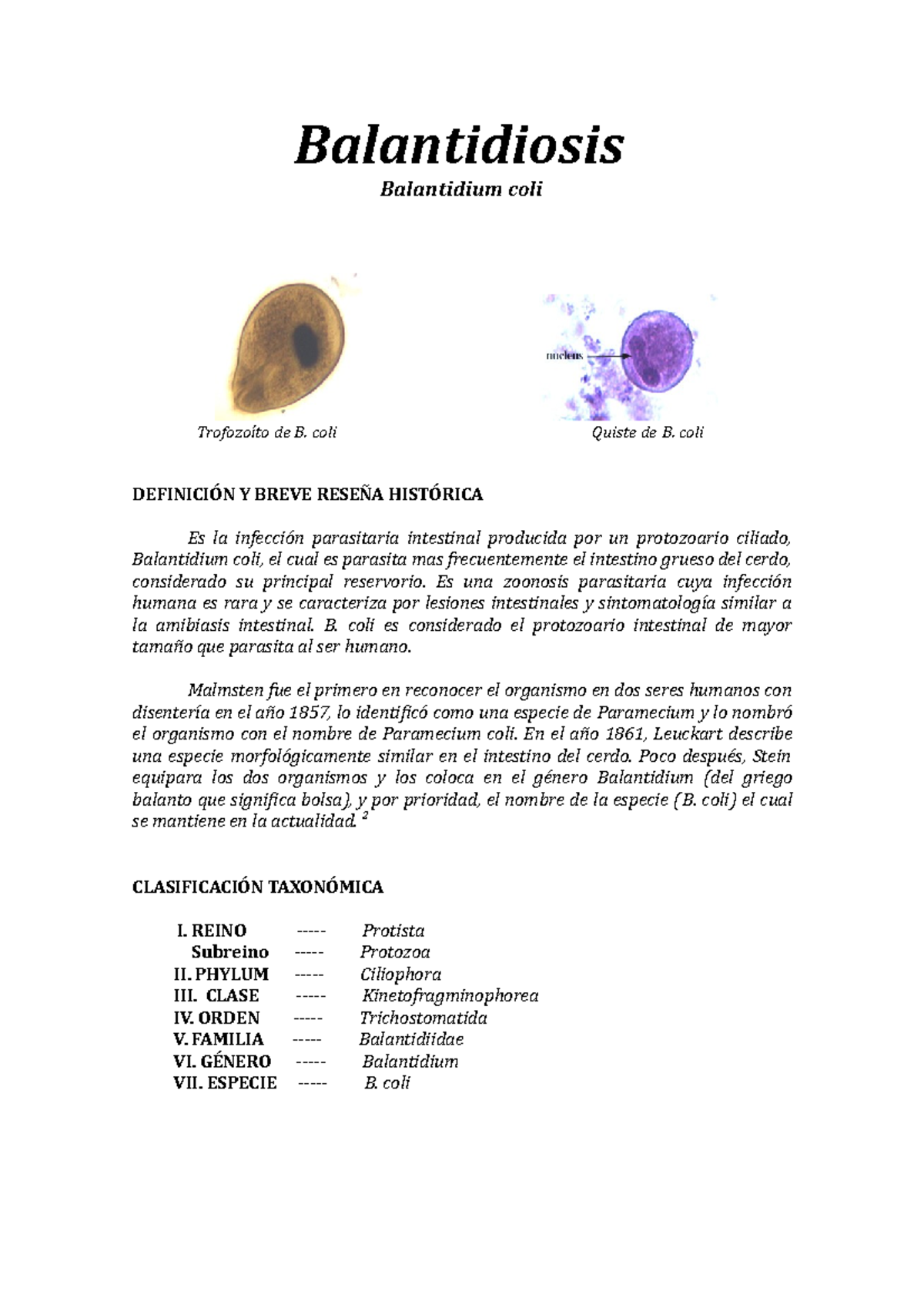 Balantidiosis corregido - Balantidiosis Balantidium coli Trofozoíto de ...