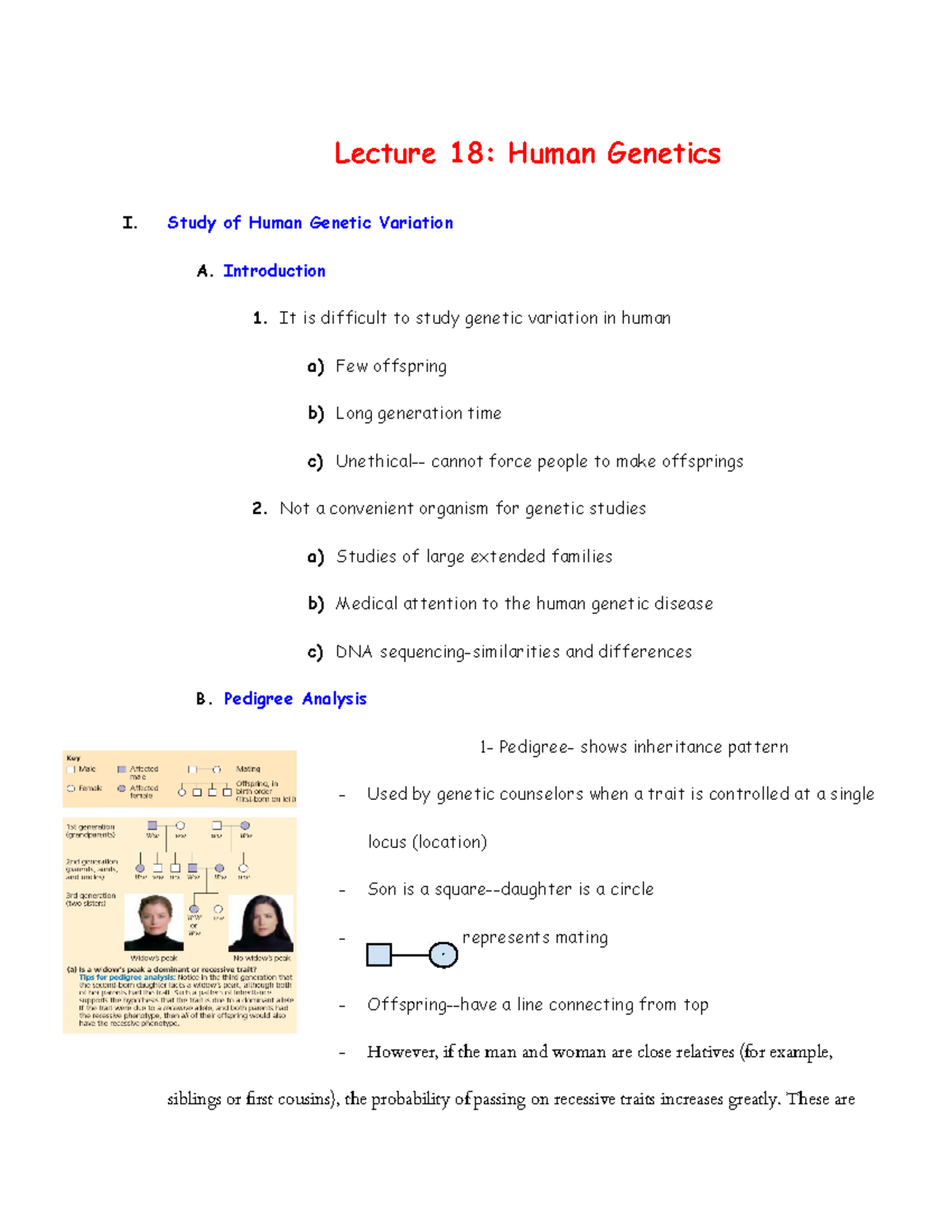 Lecture 18-Human Genetics - Lecture 18: Human Genetics I. Study of ...