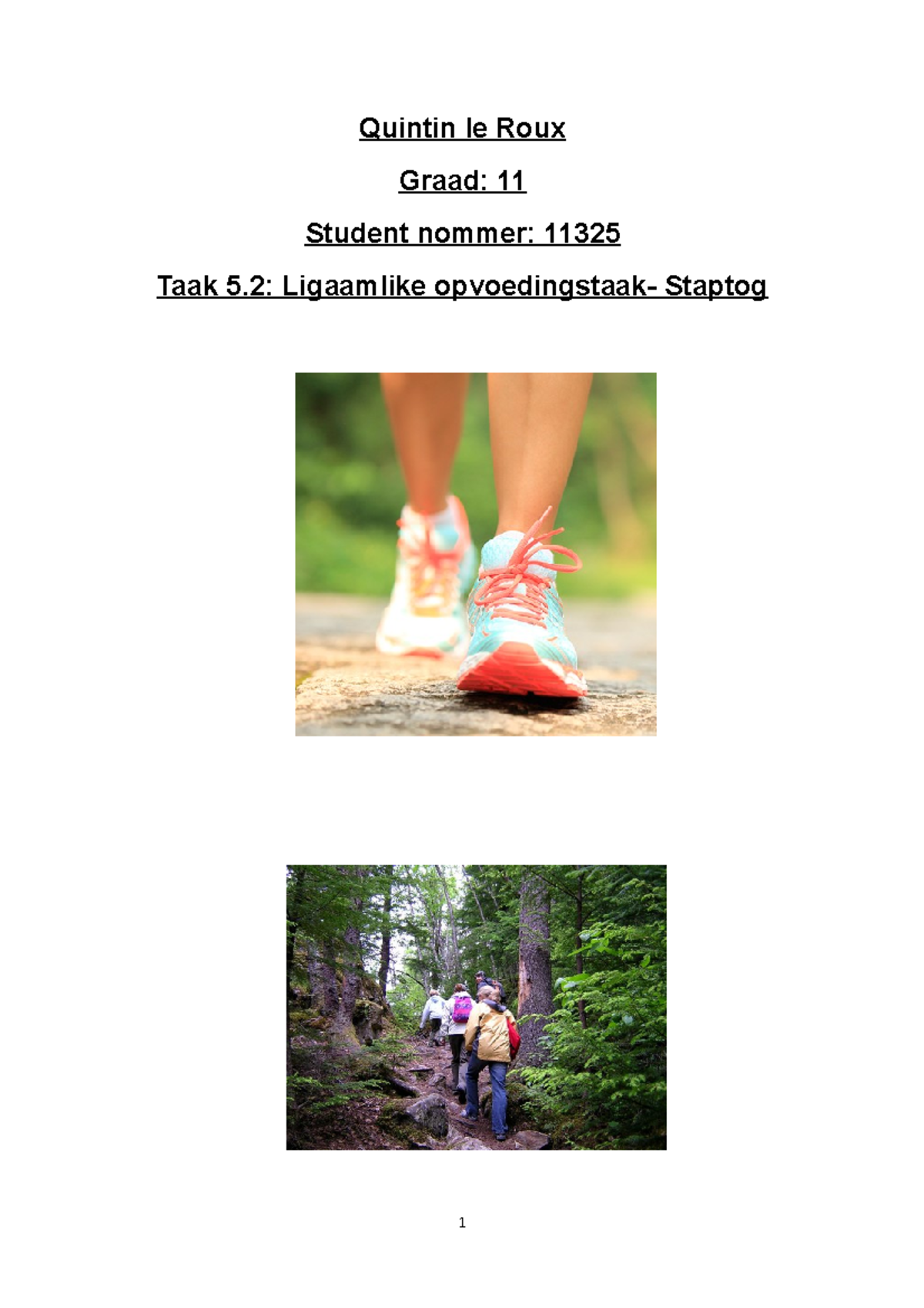 Lo staptog taak - lo taak gr 11 - Quintin le Roux Graad: 11 Student ...