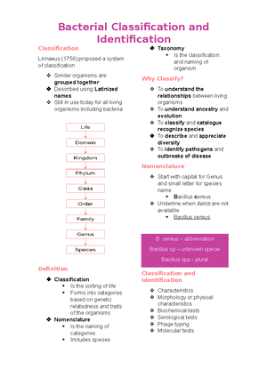 Lecture 2 - Bacteria of Medical Importance - Bacteria of Medical ...