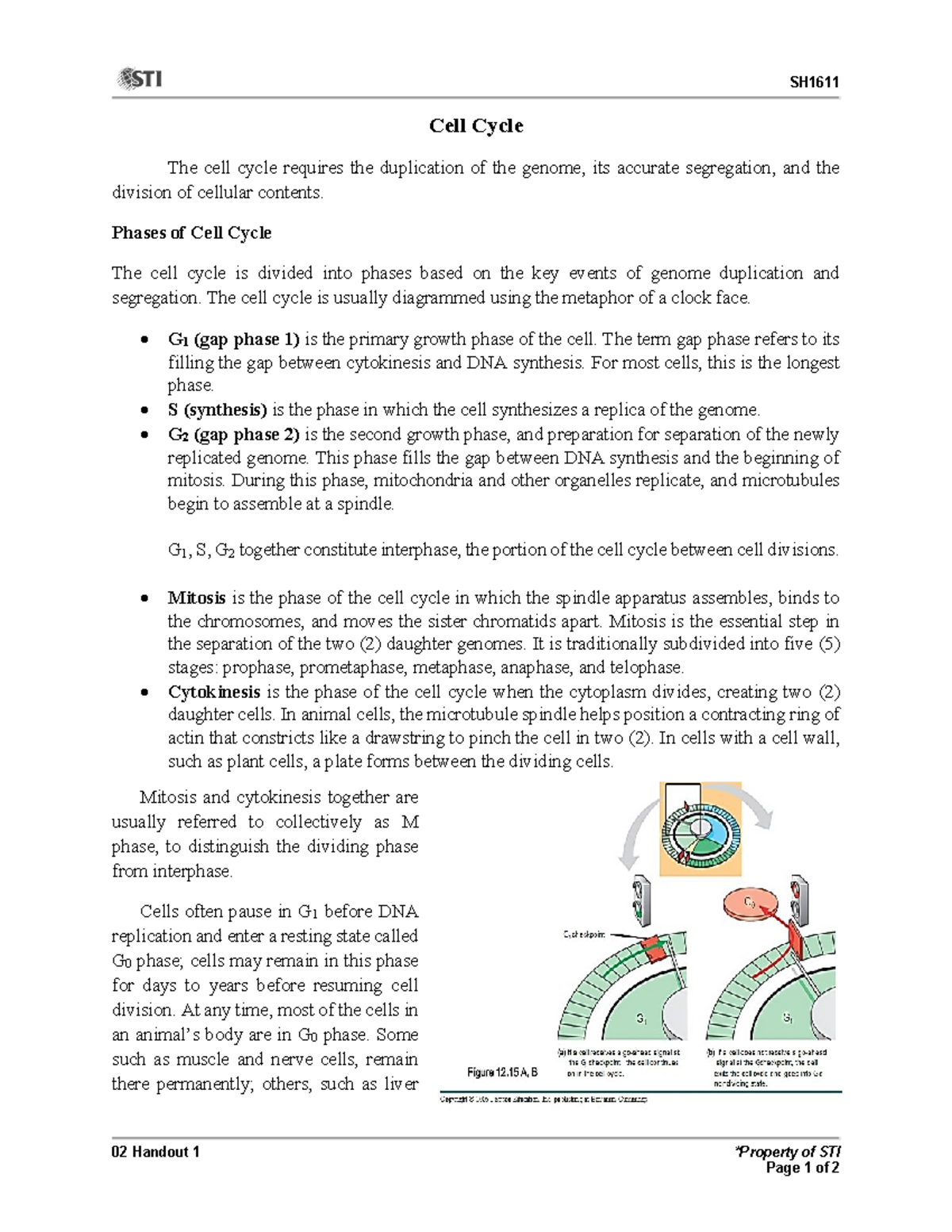 02 Handout 1(2)-1 - Gen Bio - SH 02 Handout 1 *Property of STI Page 1 of 2 Cell Cycle The cell ...