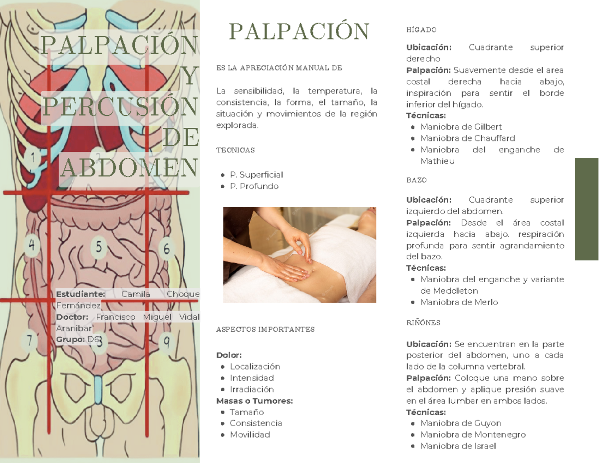 Palpación Y Percusión DE Abdomen - PALPACIÓN ES LA APRECIACIÓN MANUAL ...