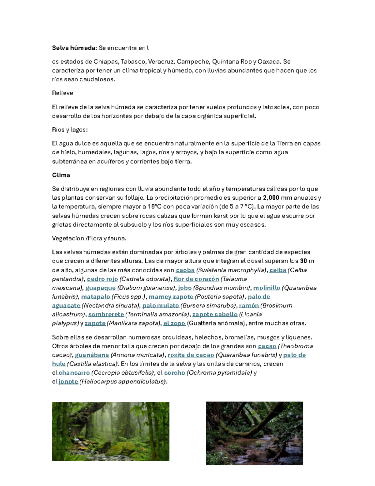 Regiones naturales - Selva húmeda: Se encuentra en l os estados de ...