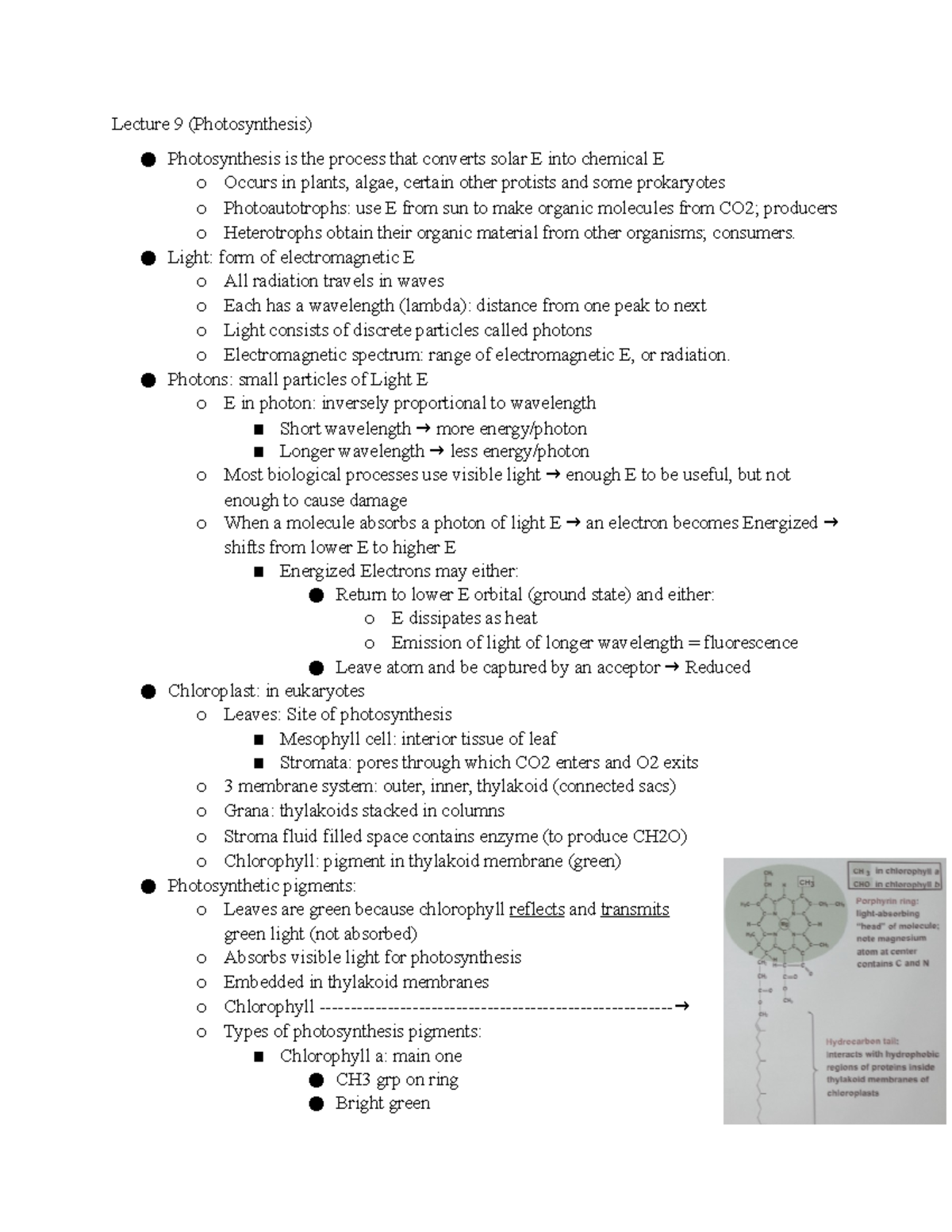 Lecture 9 - Class Notes - Lecture 9 (Photosynthesis) Photosynthesis is ...