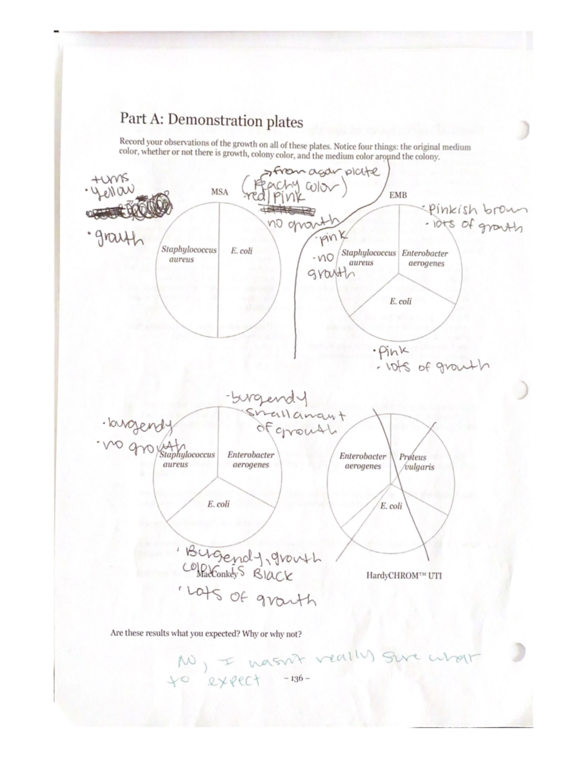 Part A Demonstration plates - MICR 22 - Studocu