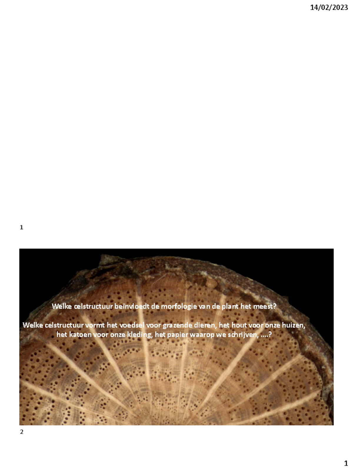 Plantkunde les 2 Celwand 2023 - Welke celstructuur beïnvloedt de ...