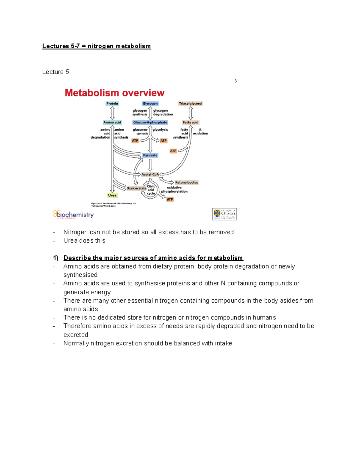 Lectures 5-7 = nitrogen metabolism - Lectures 5-7 = nitrogen metabolism ...