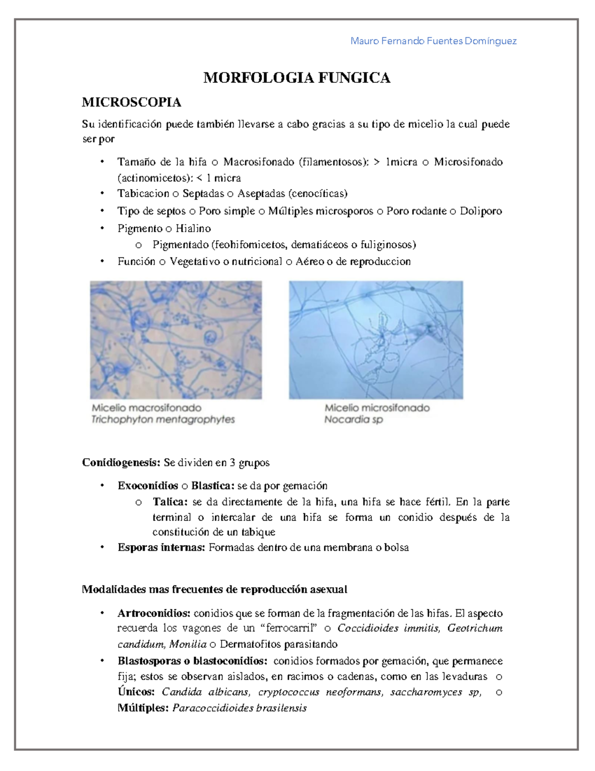 1656362823216 Morfologia - MORFOLOGIA FUNGICA MICROSCOPIA Su ...
