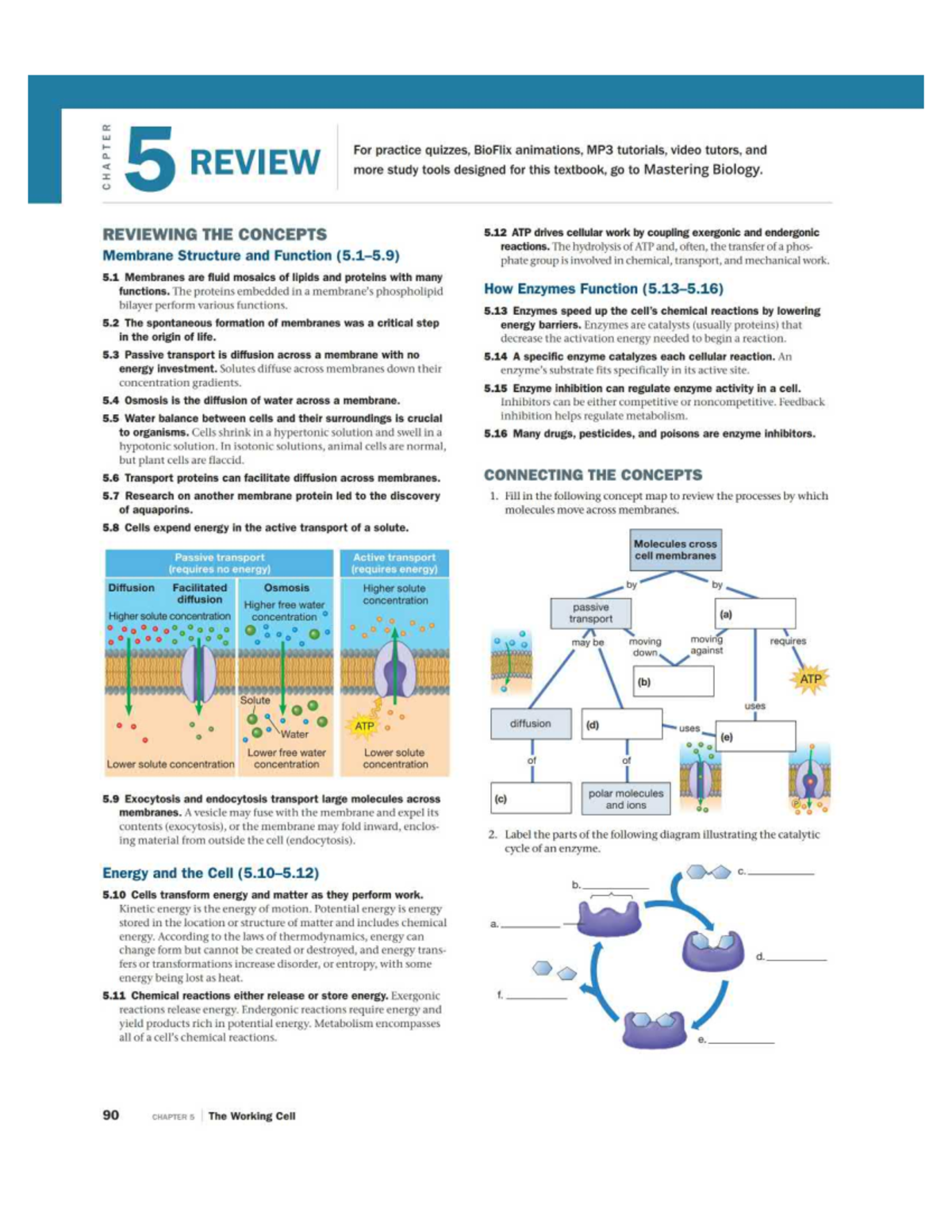 Chapter 5 - Reviewing Concepts - a:: UJ .... 0..