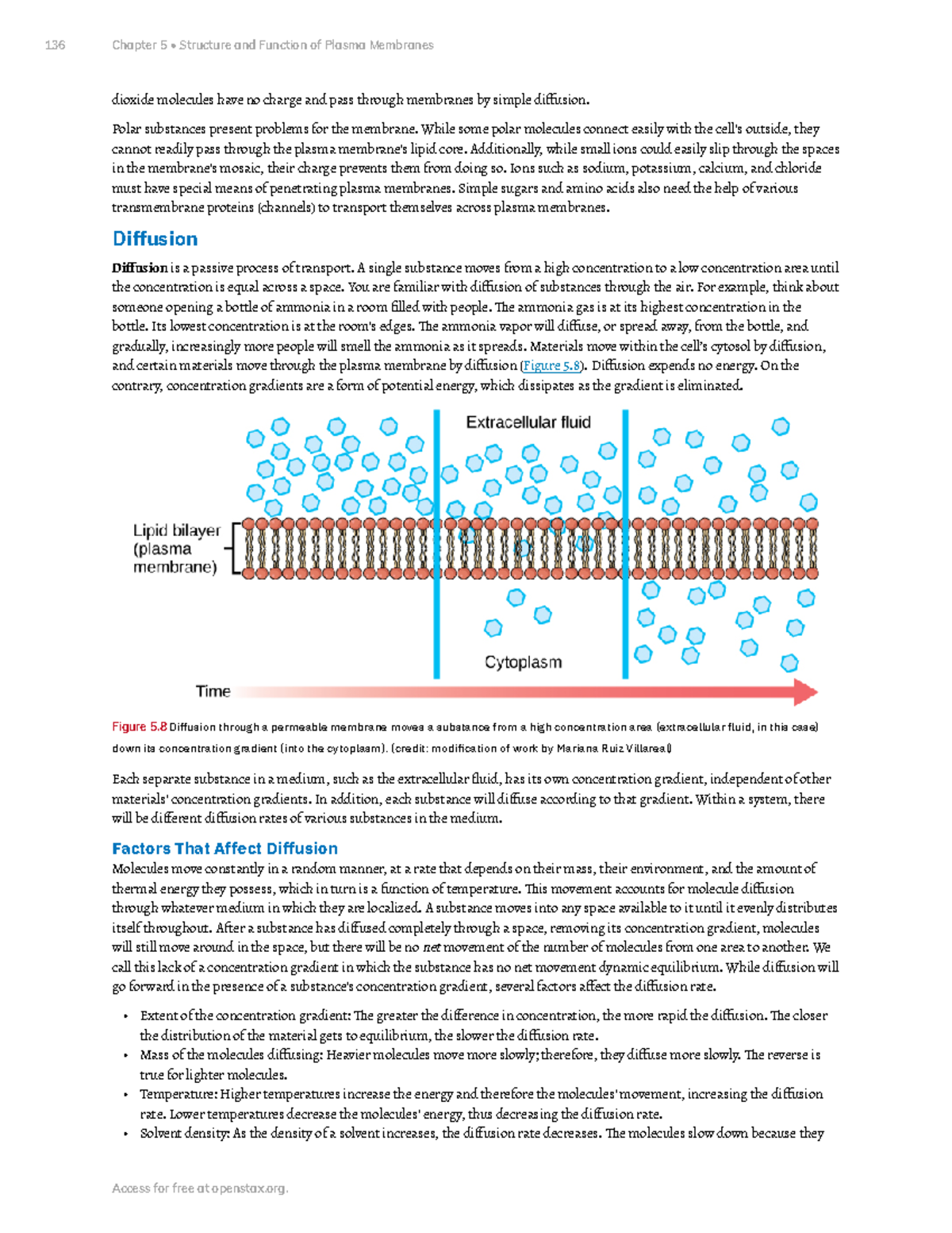 Chapter 5 Structure and Function of Plasma Membranes Part 4 - dioxide molecules have no charge ...