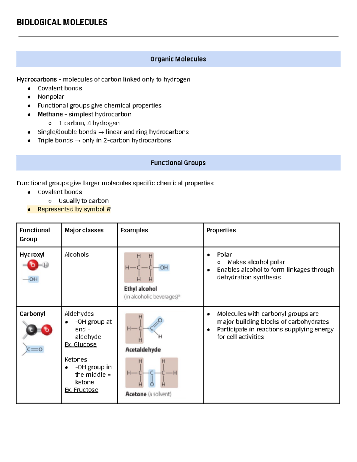 BIOL Chapter 3 Notes - Organic molecules - BIOLOGICAL MOLECULES Organic ...