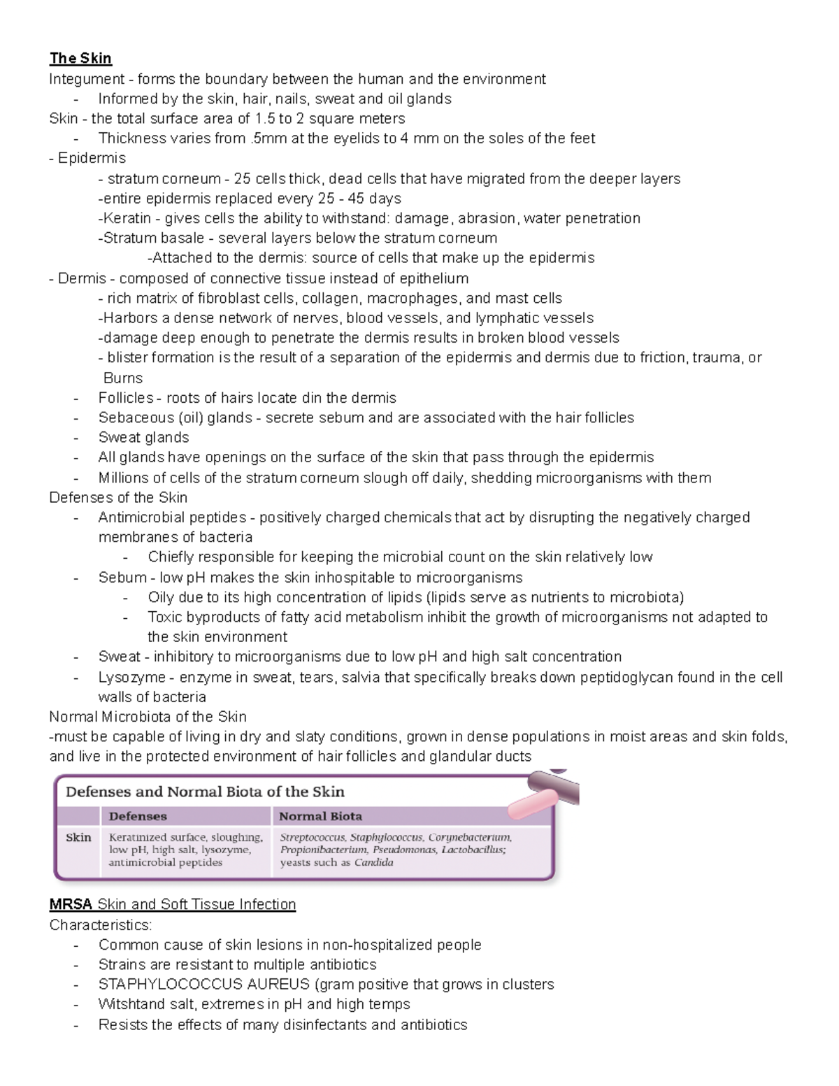 Mirobiology Skin rashes/diseases - The Skin Integument - forms the ...