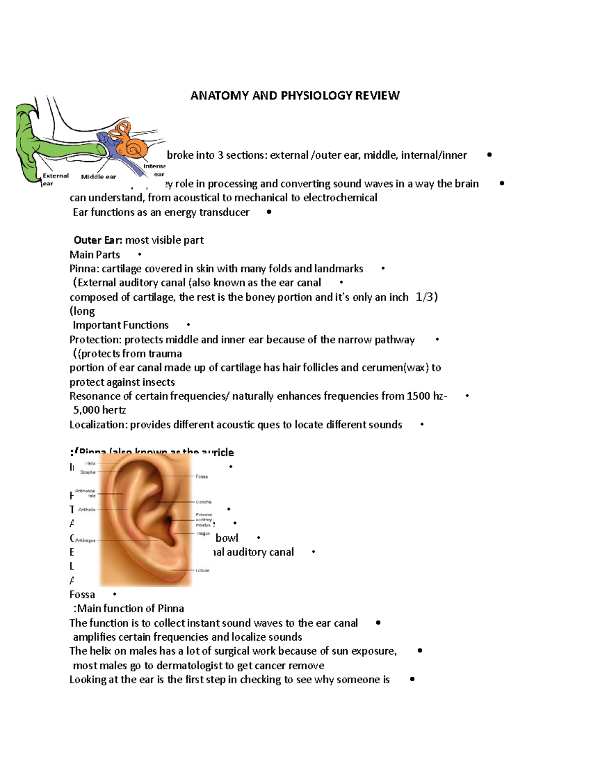 Anatomy AND Physiology Review - ANATOMY AND PHYSIOLOGY REVIEW The ...