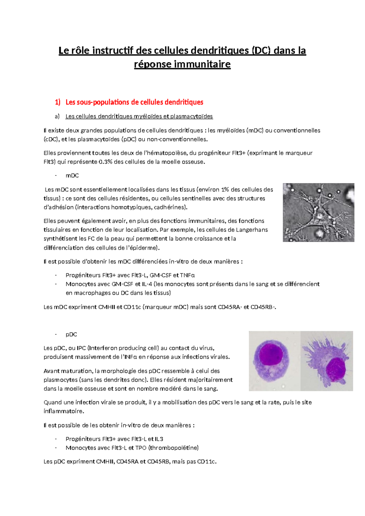 Le rôle instructif des cellules dendritiques L3 Bioch - Le rôle ...