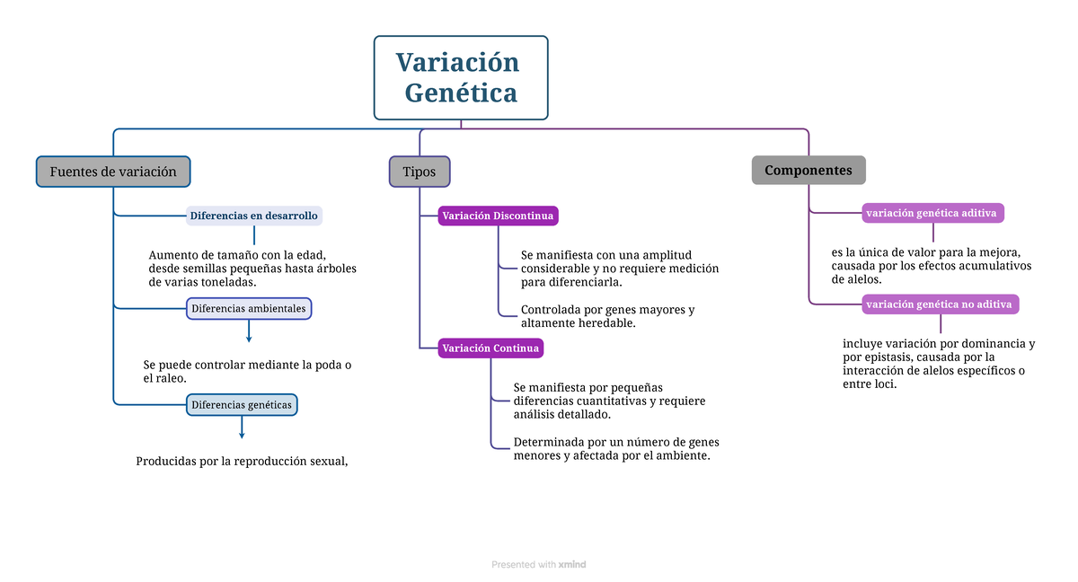 Mapa conceptual-Variación Genética - Variación Genética Fuentes de ...