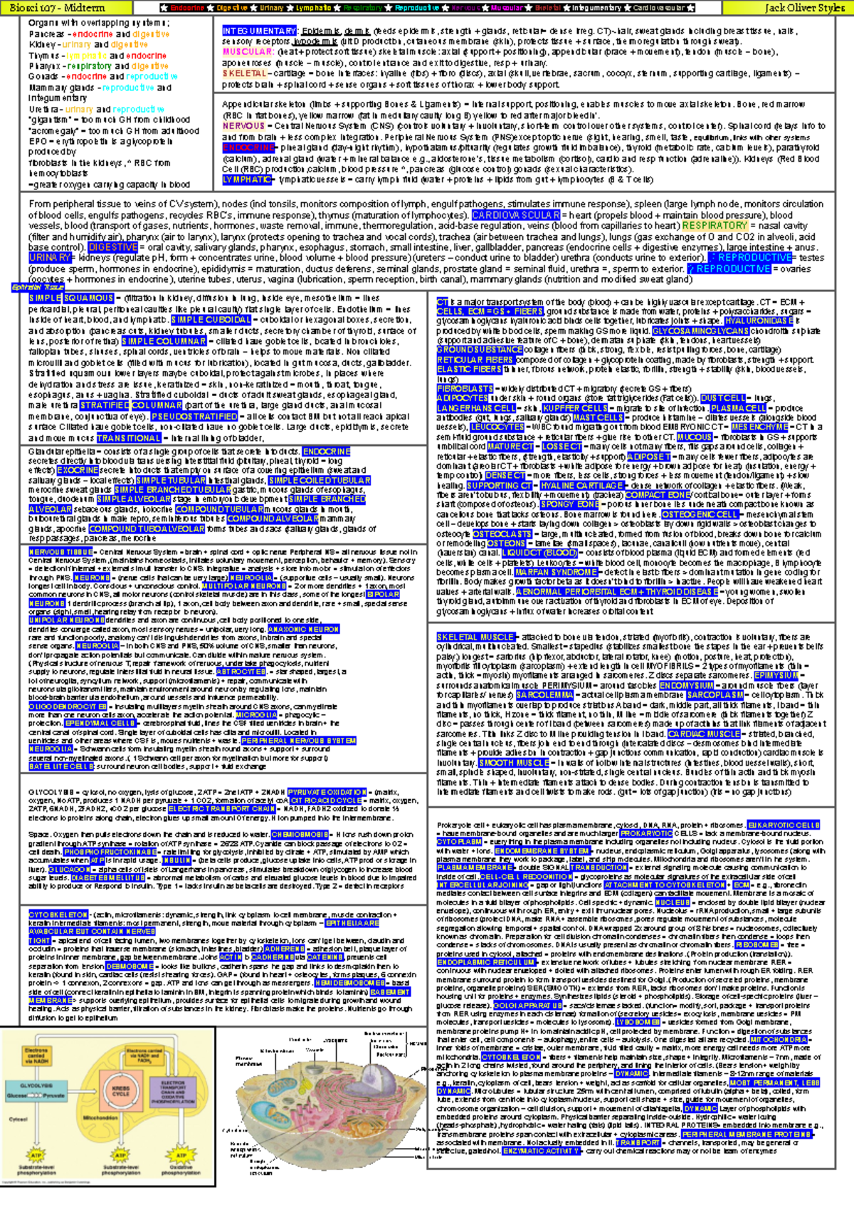 Biosci 107 Mid Term Cheat Sheet - Organs with overlapping systems ...