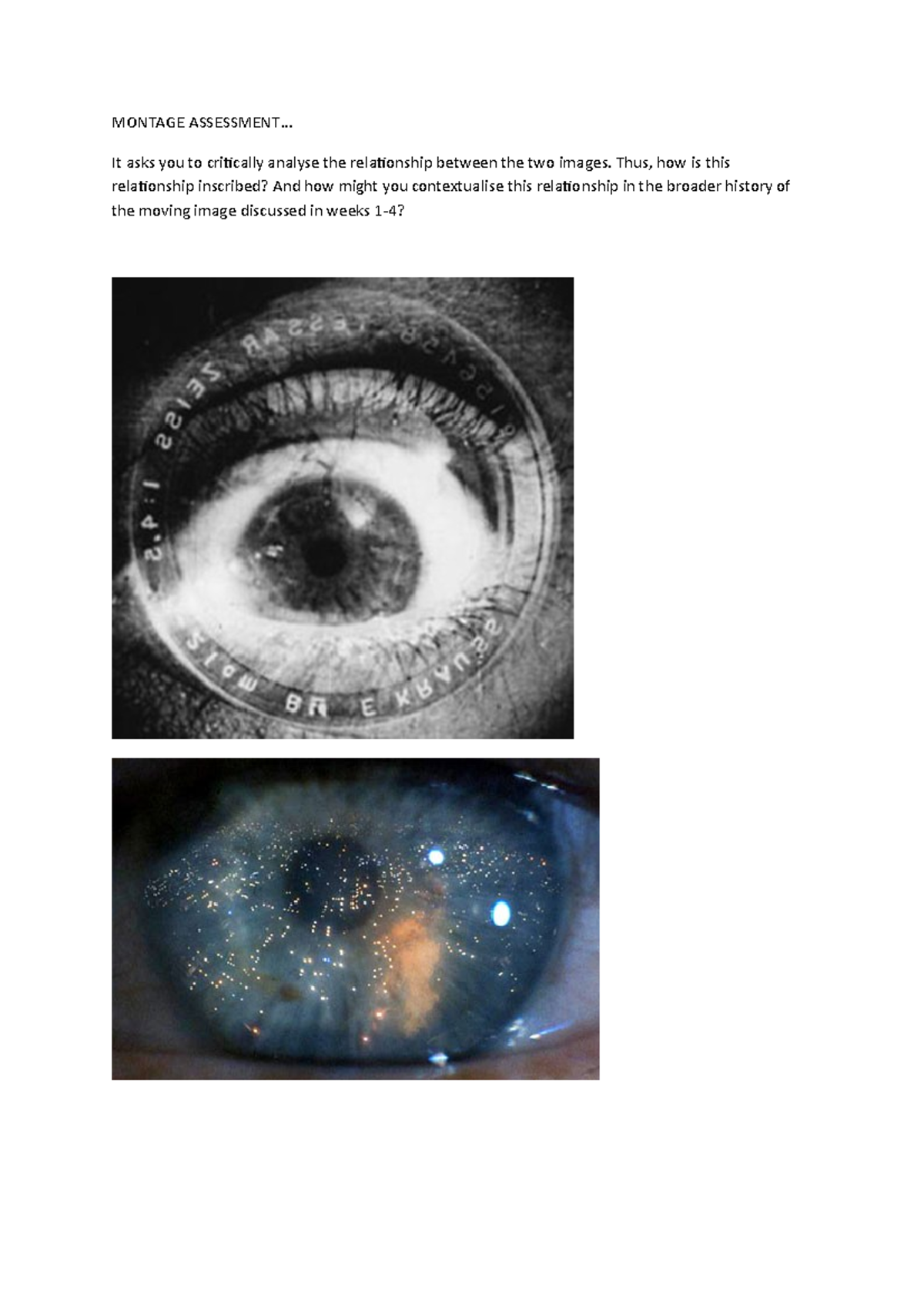Montage Assessment - Scene analysis of cinematography and how to ...