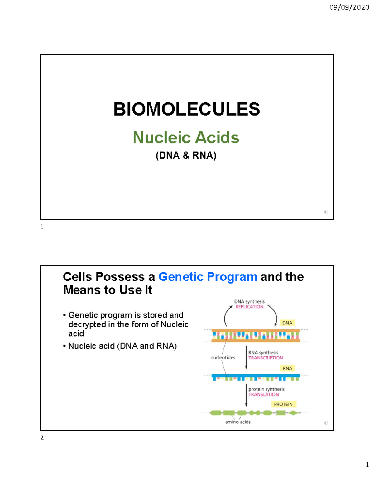 BIO211 -Lec 05 - Biomolecules - Nucleic Acids - BIOMOLECULES Nucleic ...
