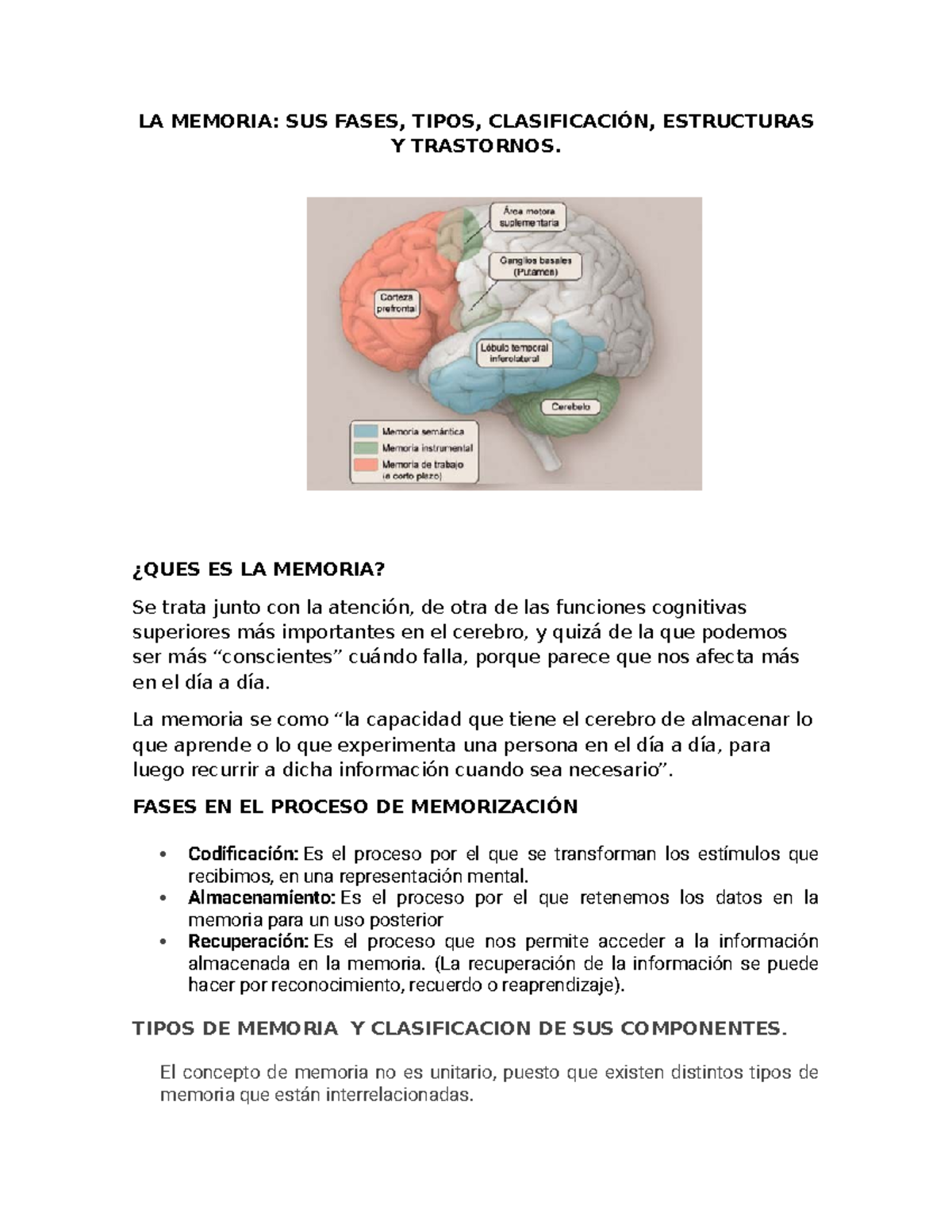 La memoria - LA MEMORIA: SUS FASES, TIPOS, CLASIFICACIÓN, ESTRUCTURAS Y ...