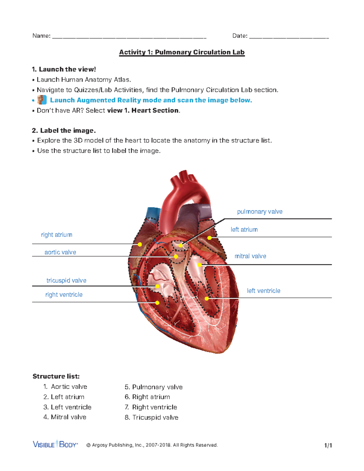 Pulmonary-lab-activity (1) Completed - © Argosy Publishing, Inc., 2007 ...