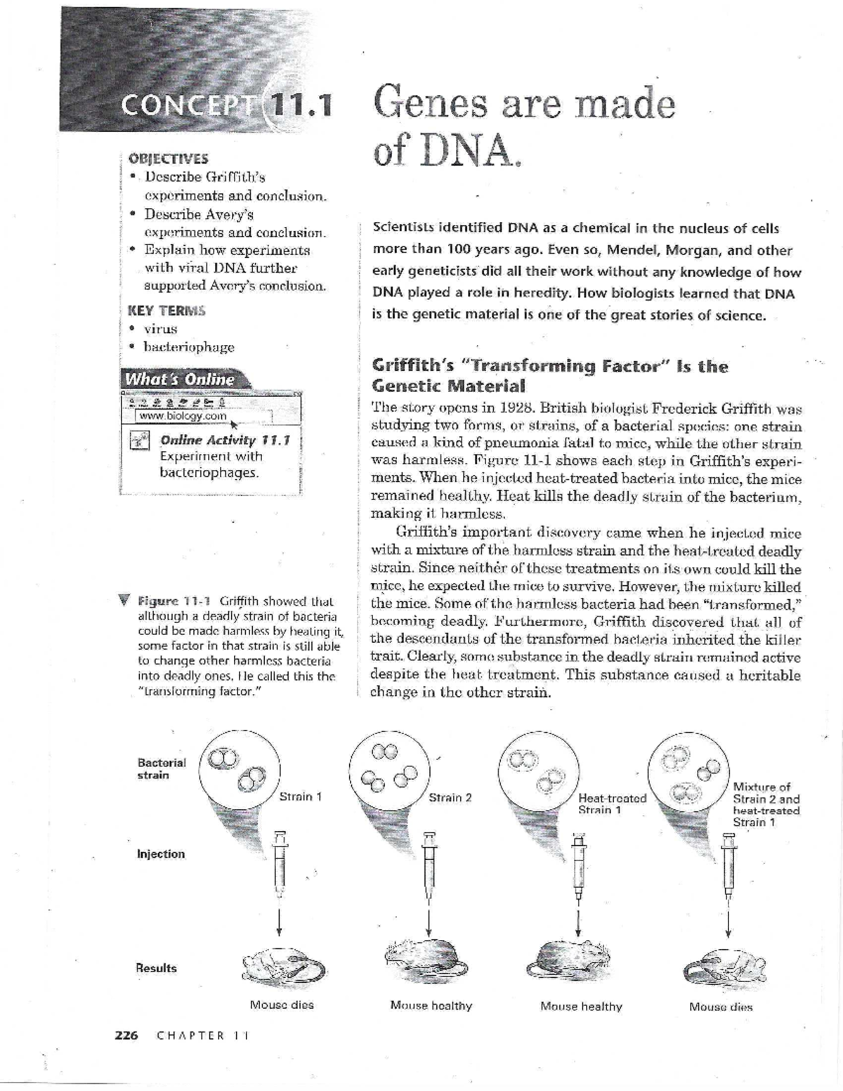 Chapter 11 Resource-DNA and Protein Synthesis - Studocu